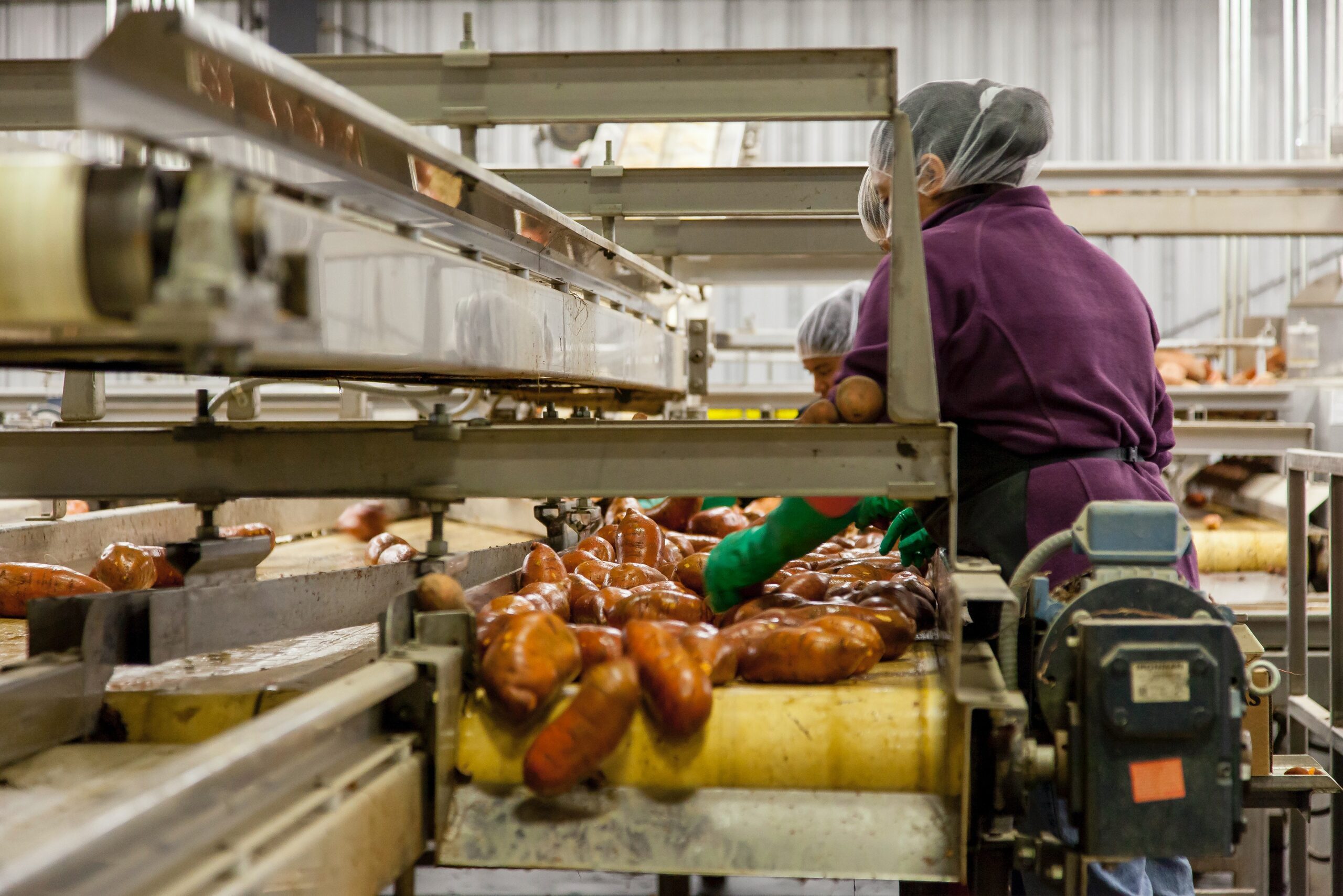 Choosing the Right Valves and Fittings for Food Processing: A ...
